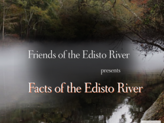 Friends of the Edisto | Protecting the Edisto River | South Carolina's ...